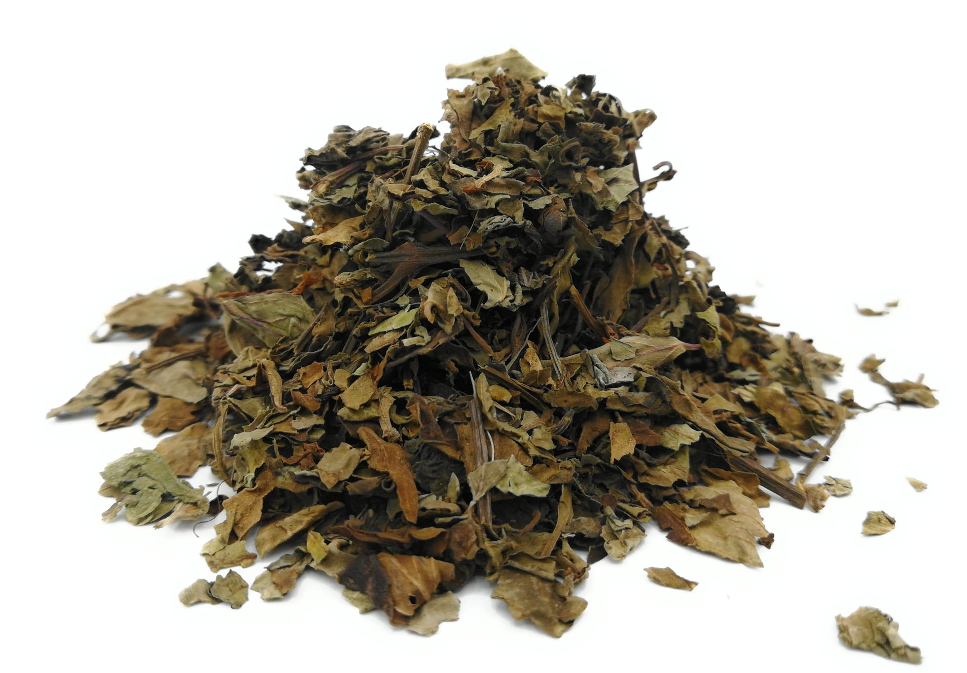 TÉ DE JAVA - ORTOSIFON